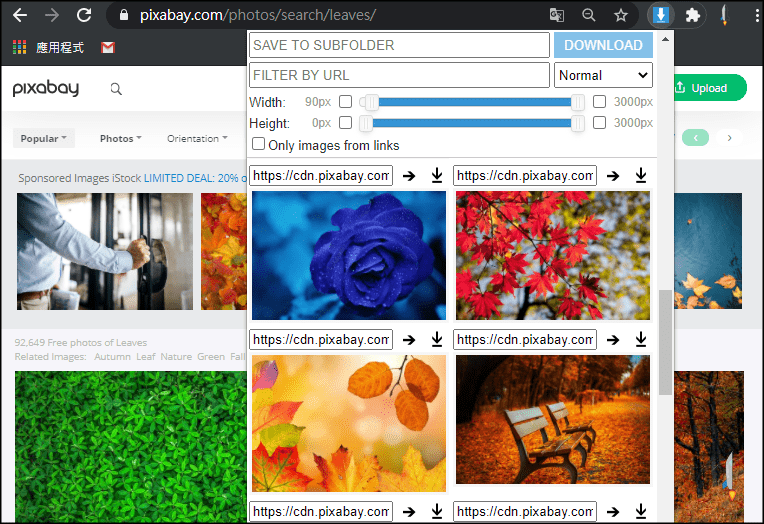Image Downloader一鍵下載所有網頁中看到的圖片，快速儲存大量照片。（Chrome）