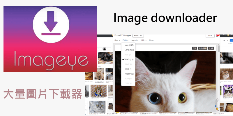 Imageye最快的網路圖片下載器！Image downloader網頁圖片多選大量下載，可自訂格式和尺寸。