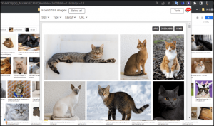 Imageye 最快的網路圖片下載器！多選大量下載，可自訂尺寸