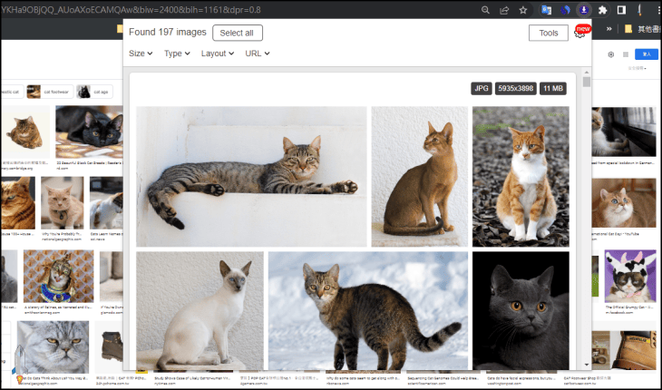 Imageye 最快的網路圖片下載器！多選大量下載，可自訂尺寸