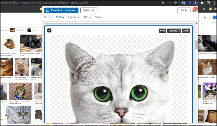 Imageye 最快的網路圖片下載器！多選大量下載，可自訂尺寸
